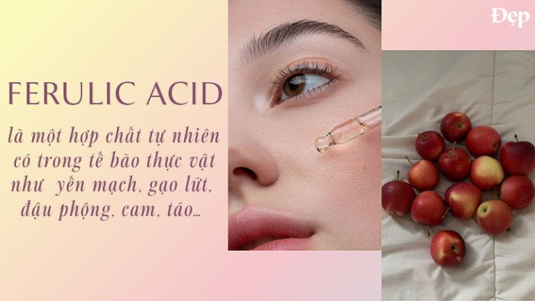 Ferulic Acid là gì? Tác dụng của Ferulic Acid với làn da