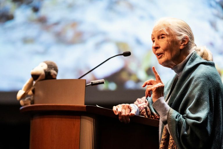 Qua đời ở tuổi 91, Jane Goodall để lại di sản vượt thời gian về khoa ...
