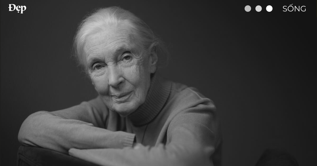 Qua đời ở tuổi 91, Jane Goodall để lại di sản vượt thời gian về khoa ...