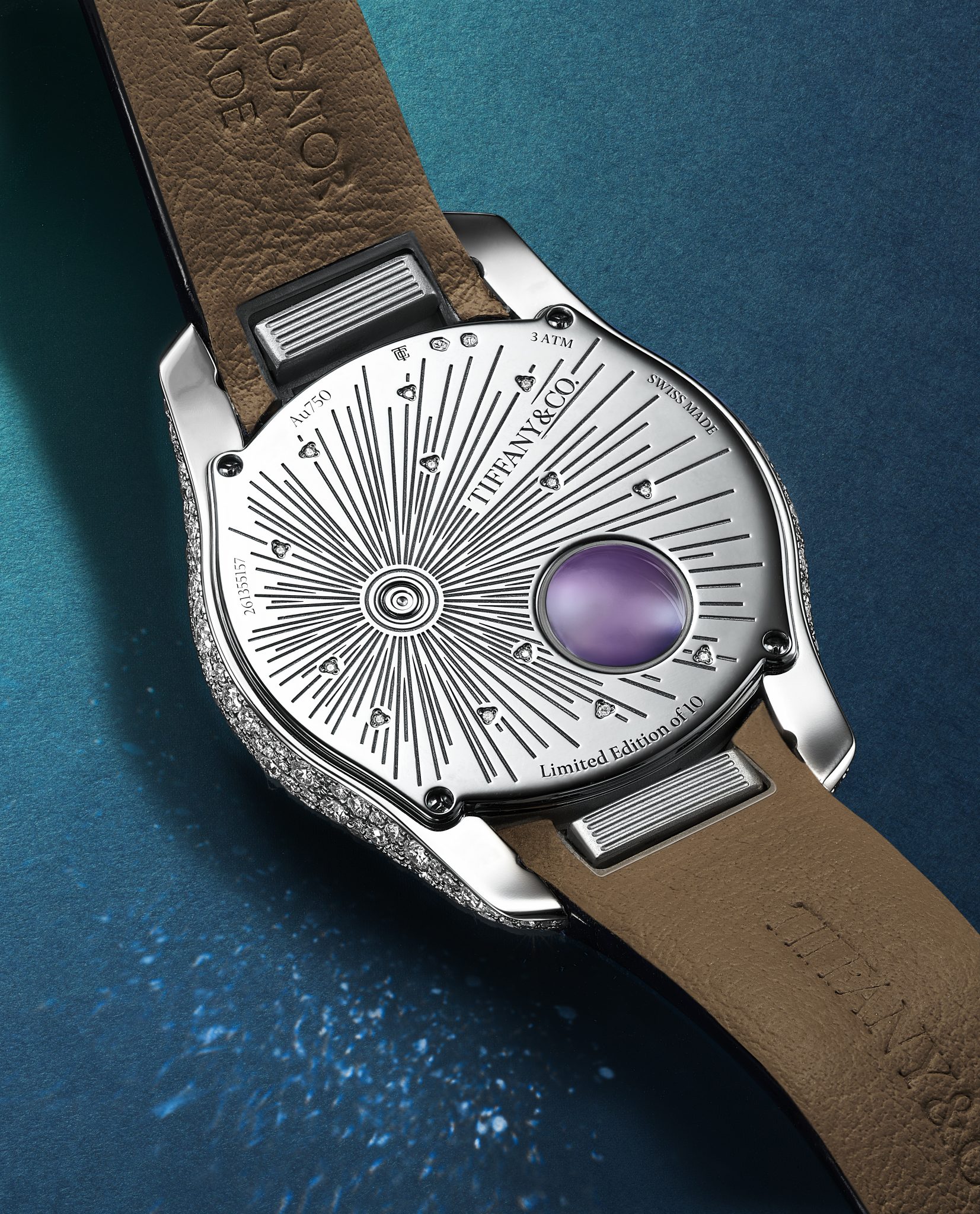 Tiffany & Co. vẽ thiên đường trú ngụ cho chim quý trên đồng hồ Toucan ...